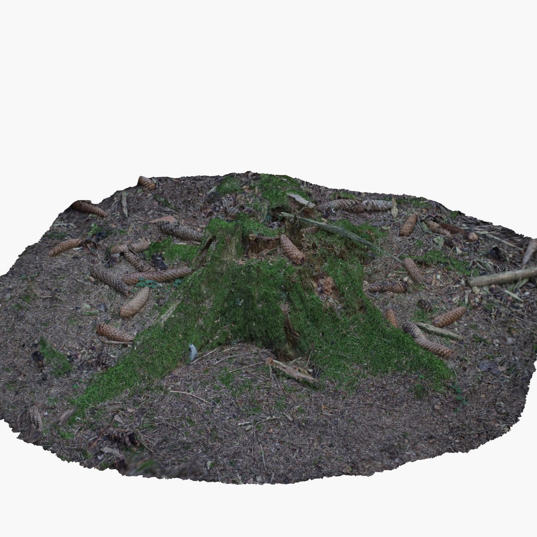 3d Model Realiscan Photogrammetry Small Stump
