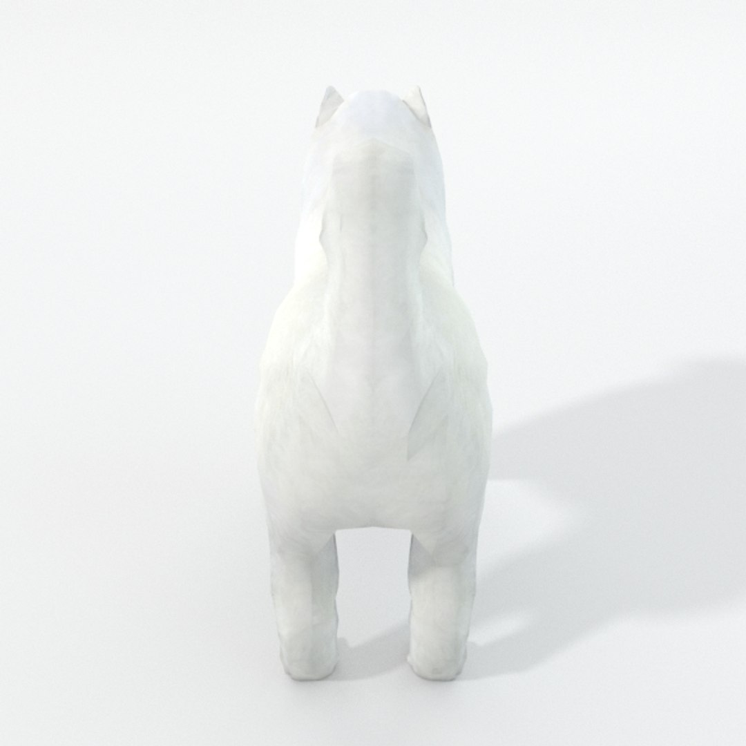 3D samoyed white model - TurboSquid 1398190