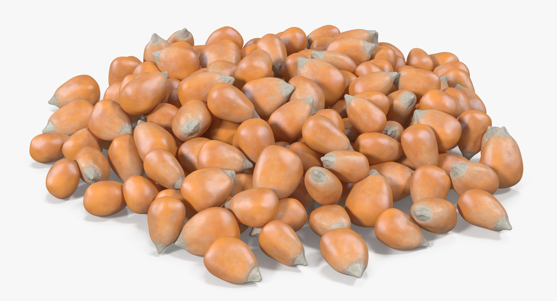 Corn kernels model - TurboSquid 1259981