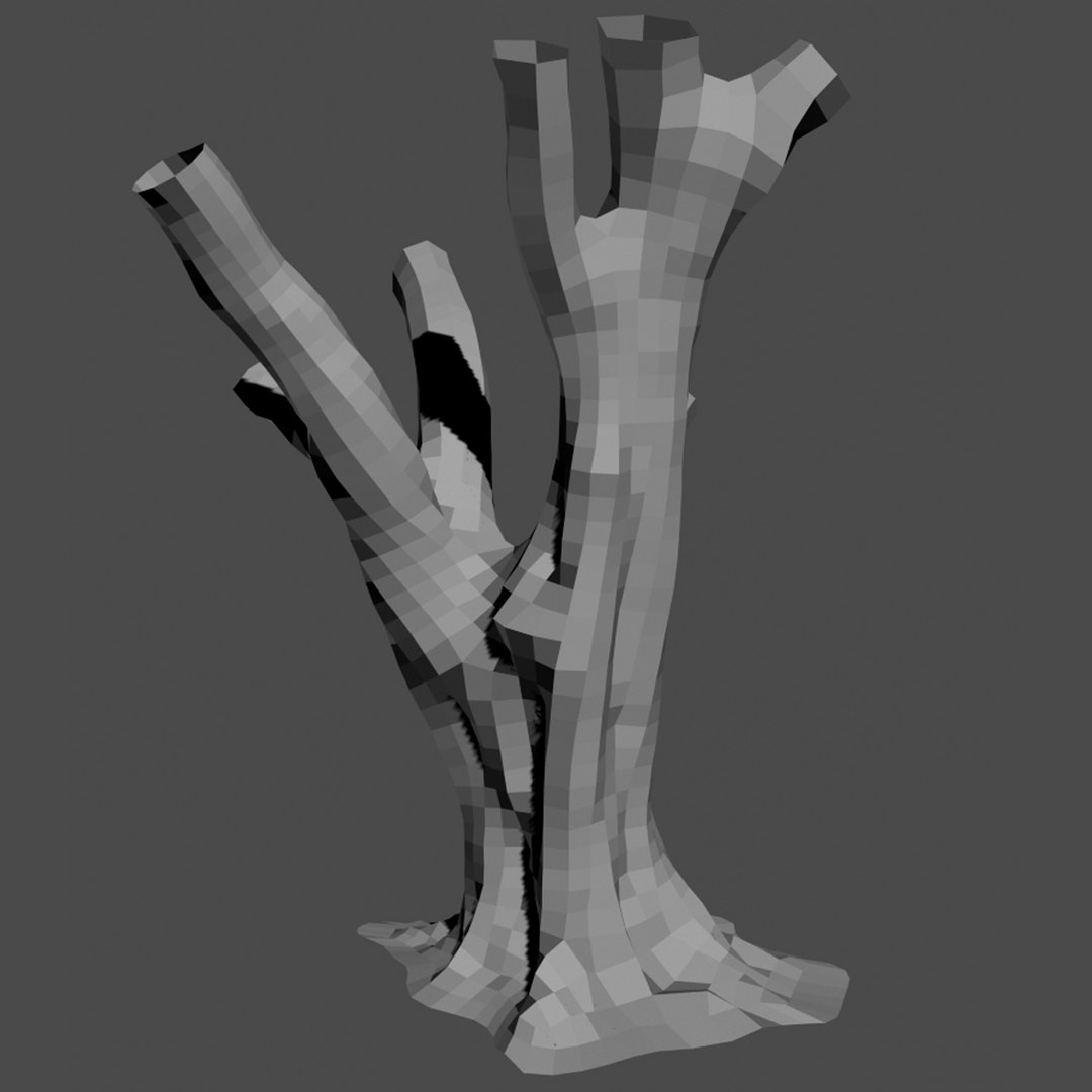 Australian Fig Tree Max