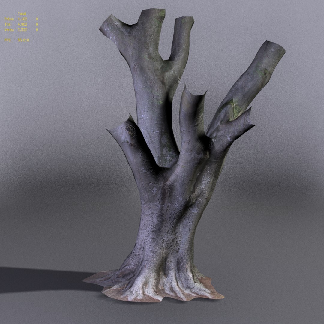 Australian Fig Tree Max