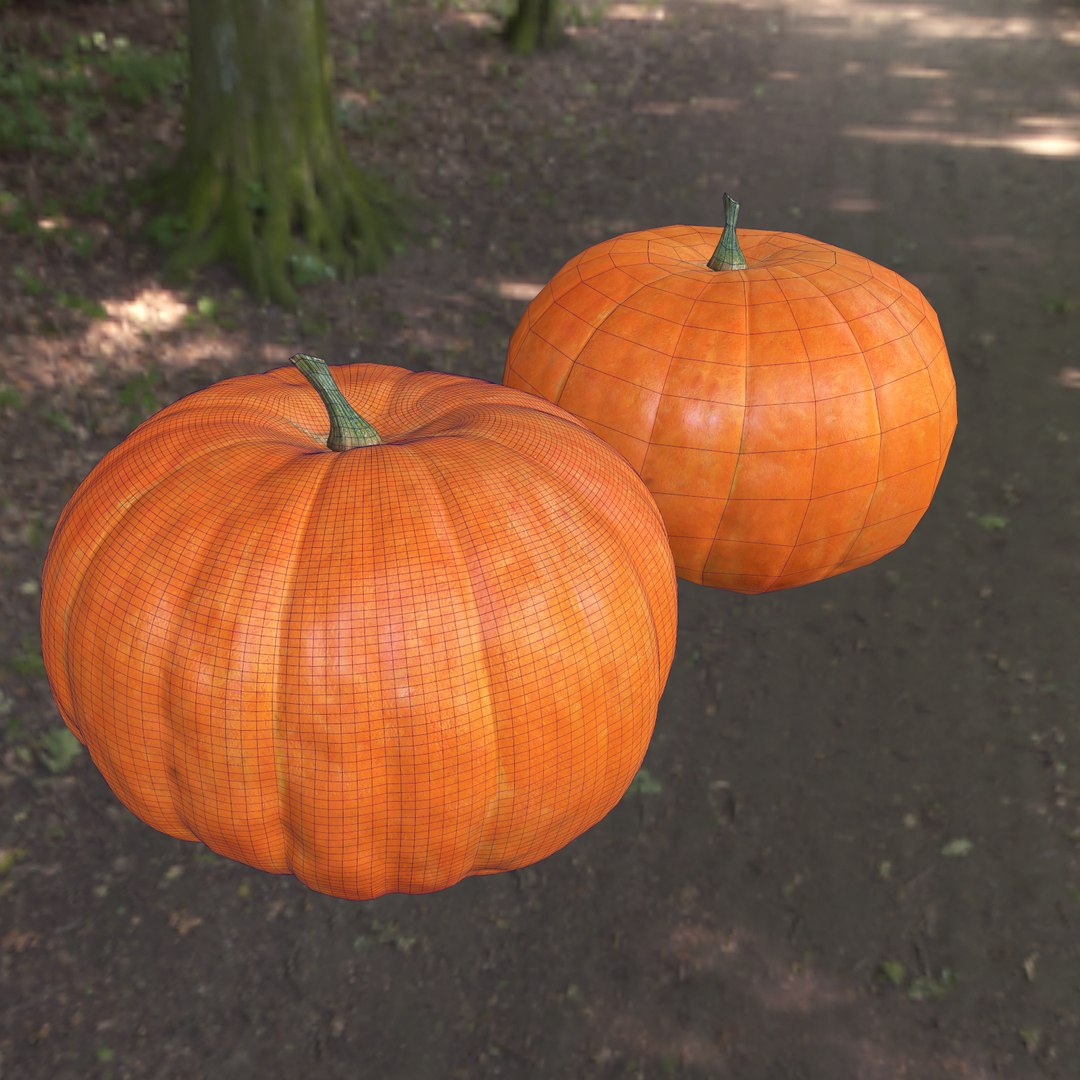 Dae Hd Scaned Pumpkin Polys