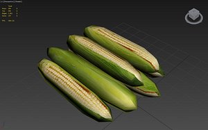 Free 3D Corn Models - Available For Download On TurboSquid