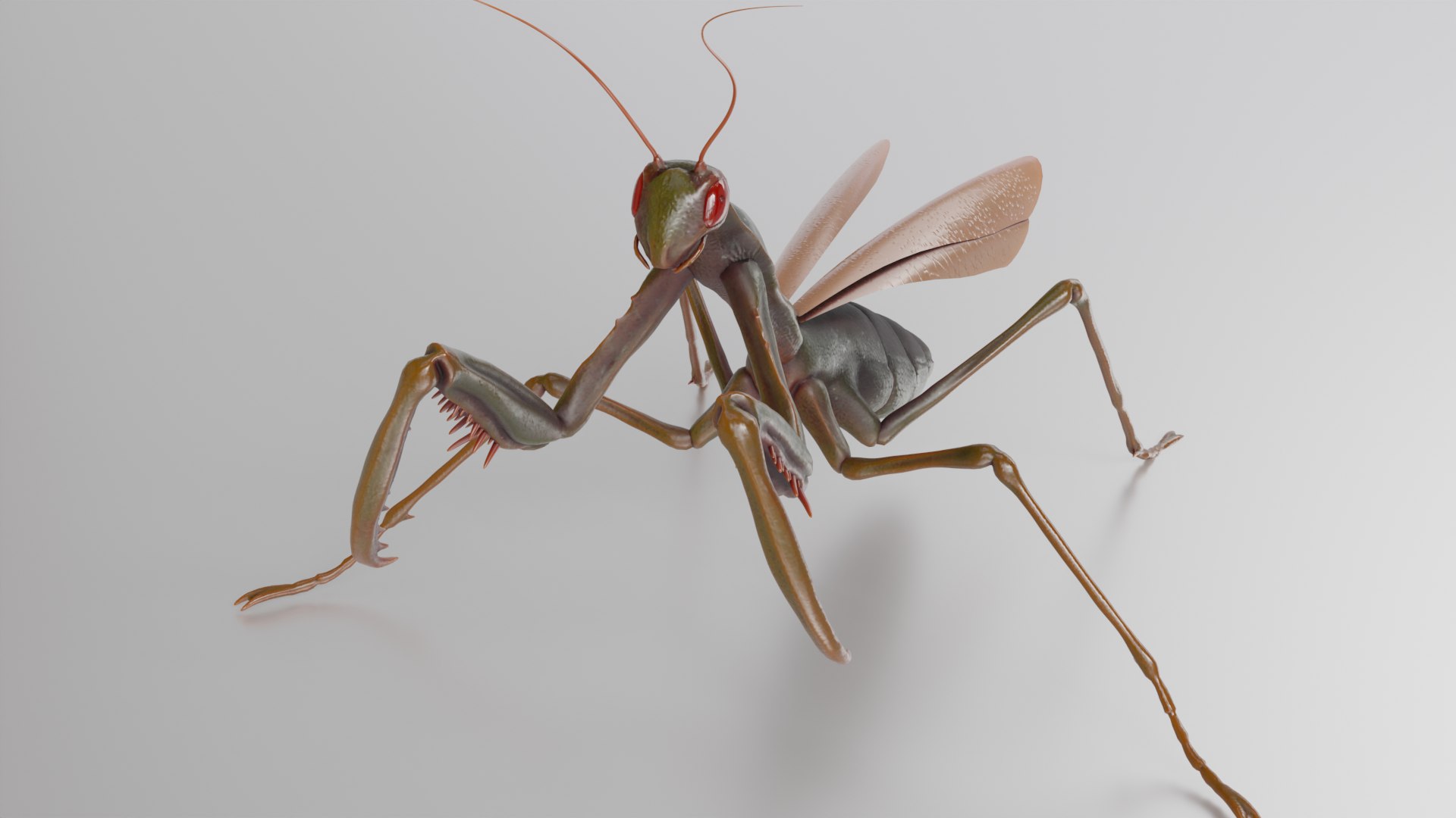 Praying Mantis High Quality Low Poly 3D Model 3D Model - TurboSquid 2264511