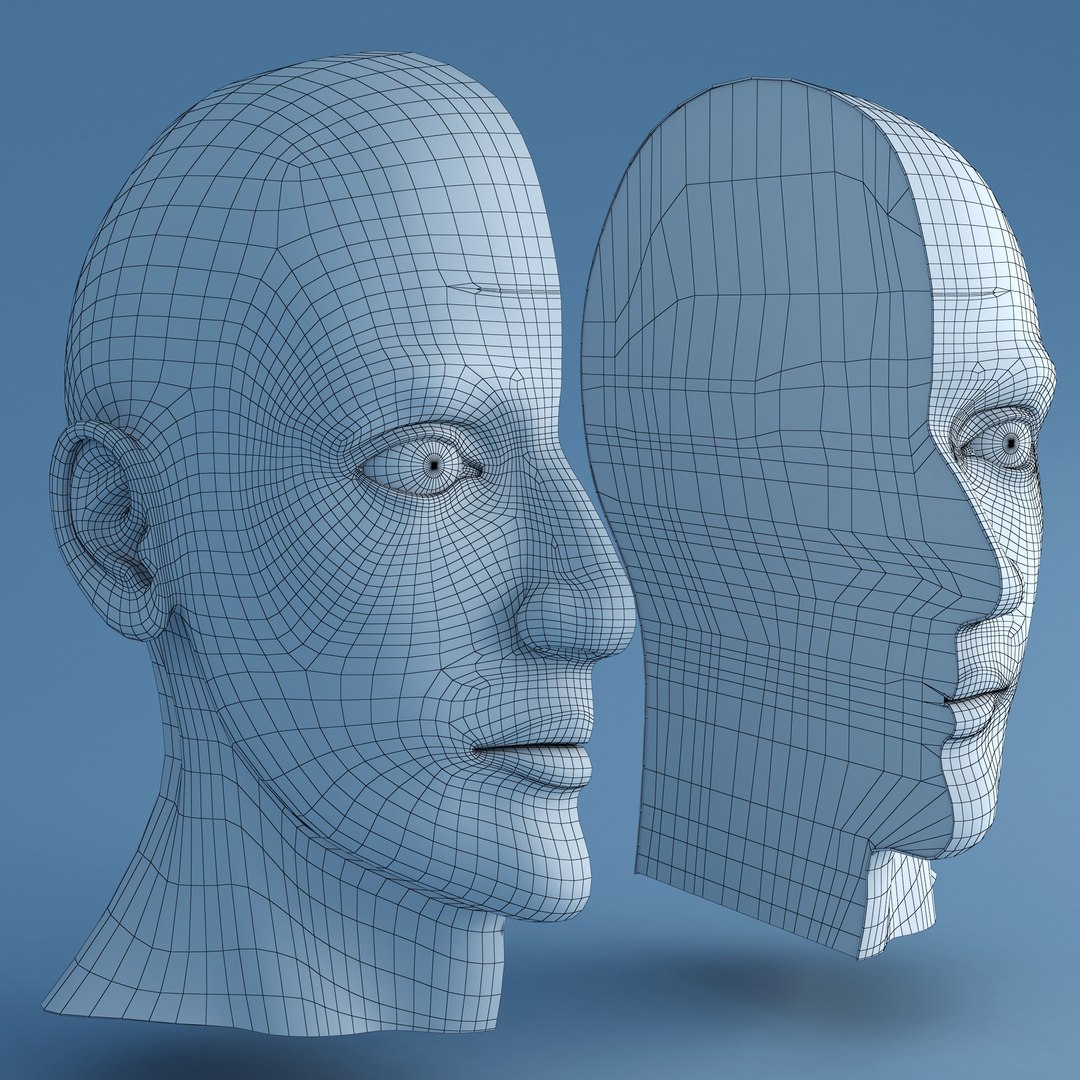 3dsmax Correct Head Cutaway