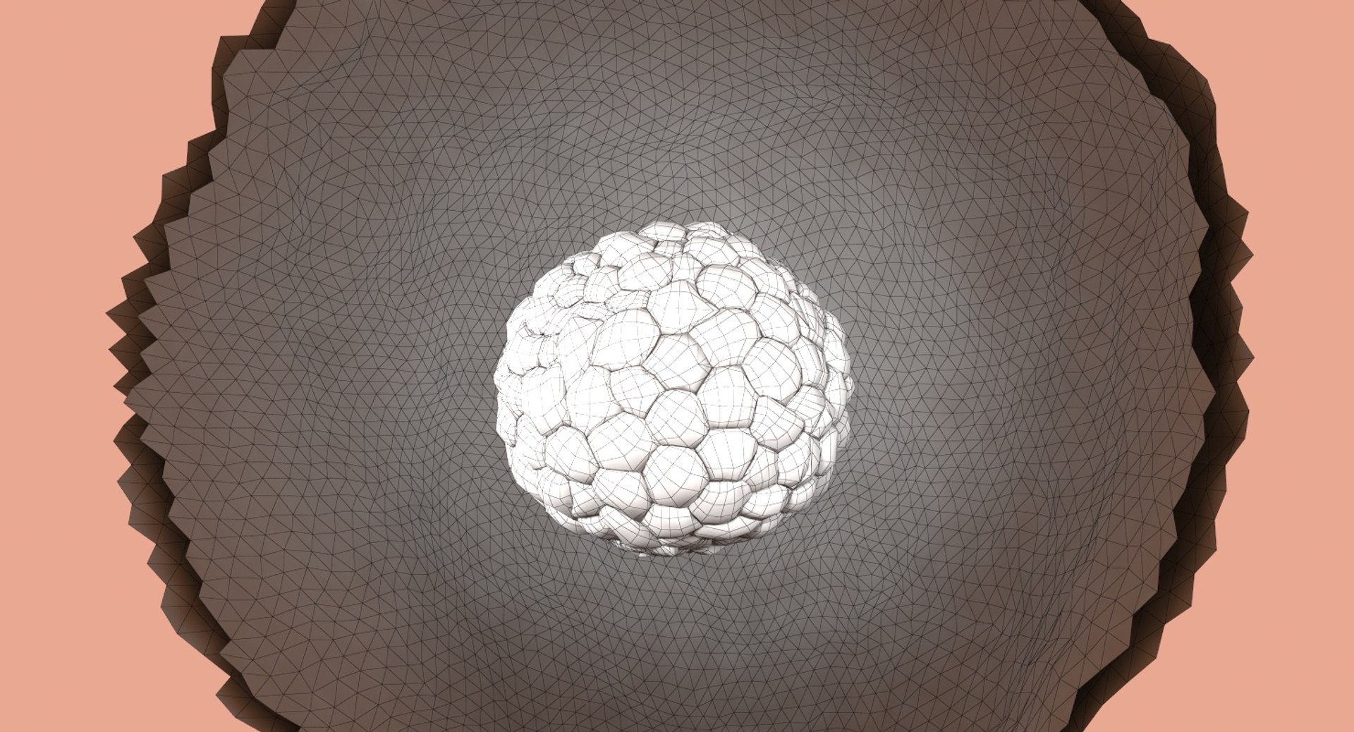 3D Blastocyst Ovum General Model - TurboSquid 1370161