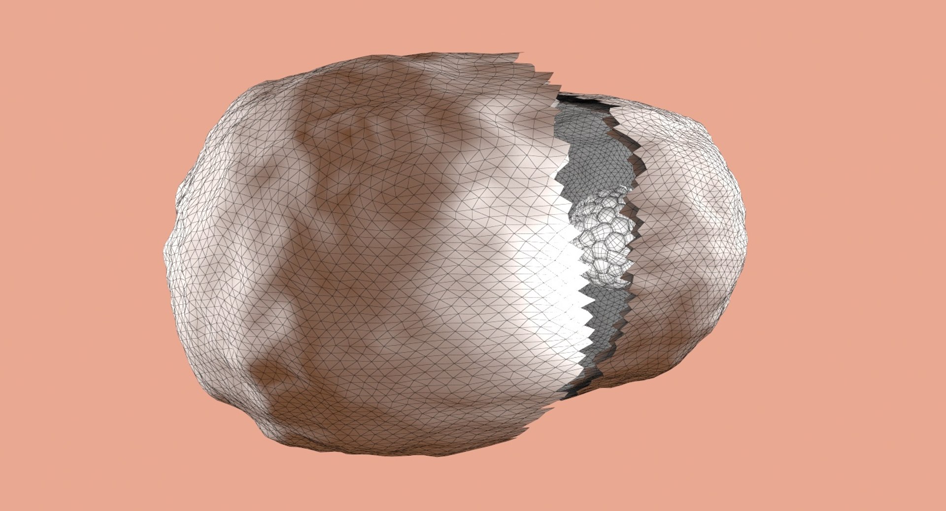 3D Blastocyst Ovum General Model - TurboSquid 1370161