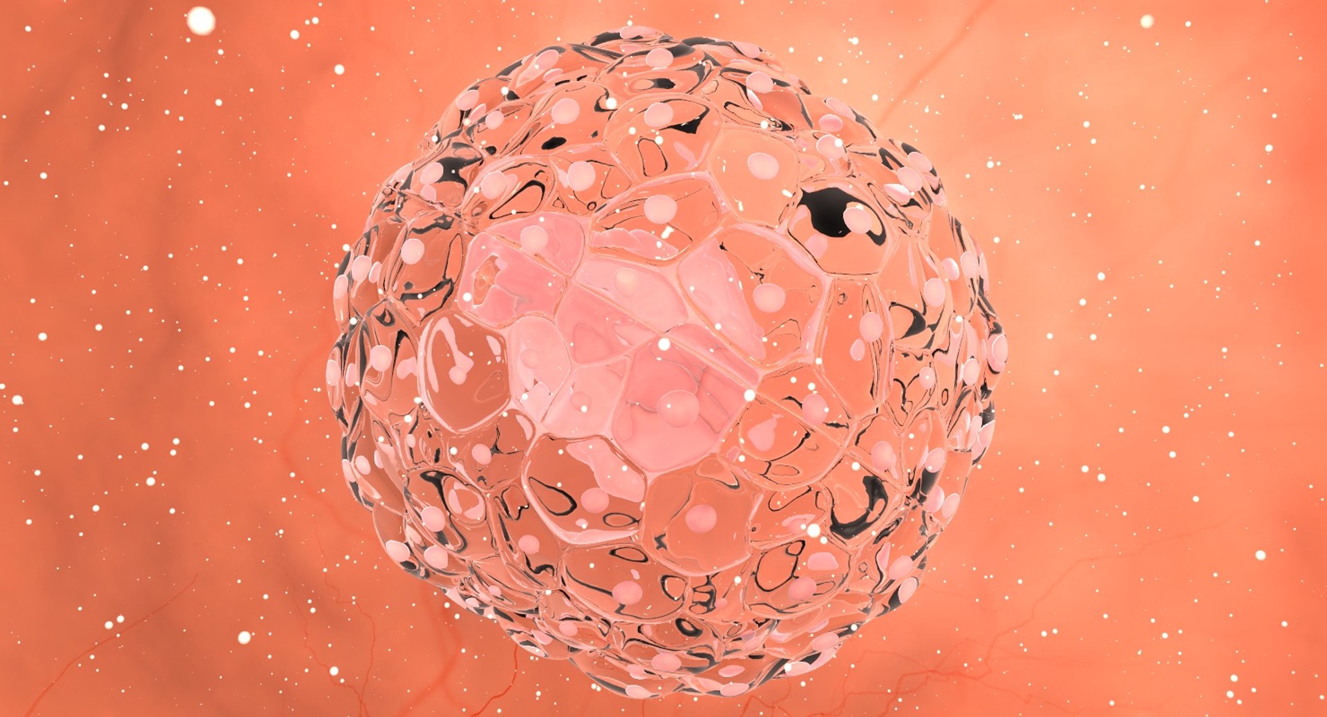3D Blastocyst Ovum General Model - TurboSquid 1370161