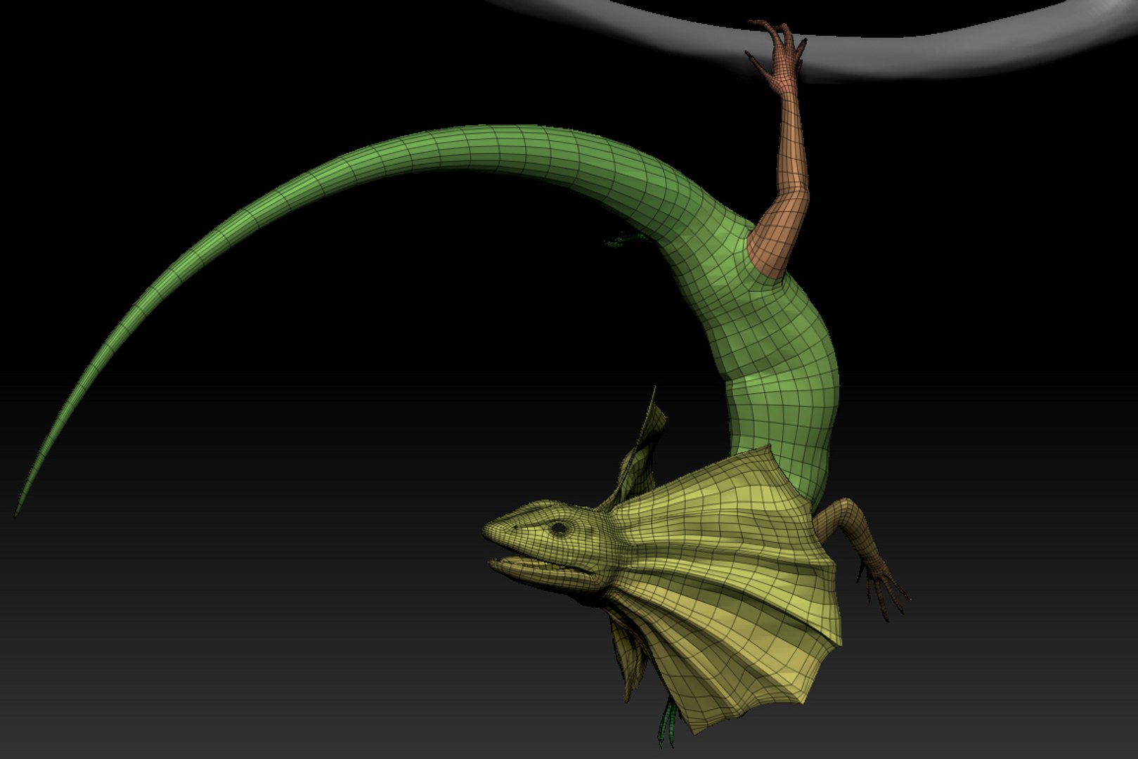 Frilled Lizard 3d Obj
