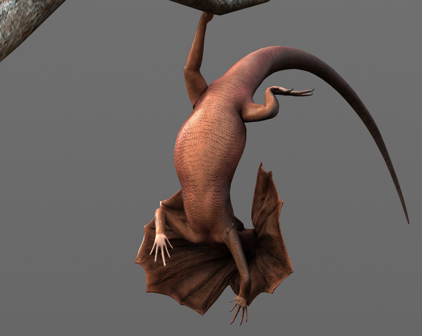 Frilled Lizard 3d Obj