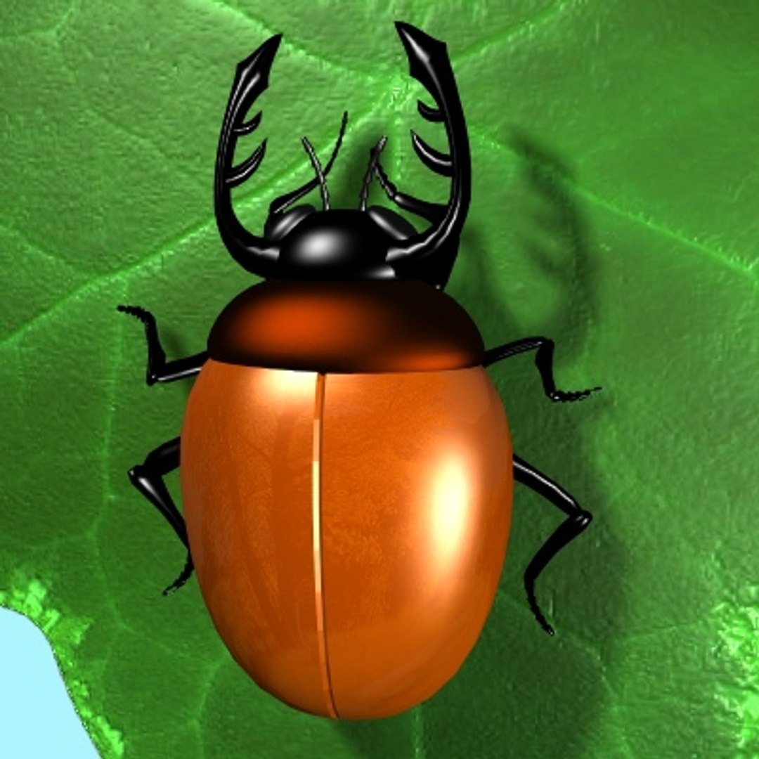 3d Max Beetle
