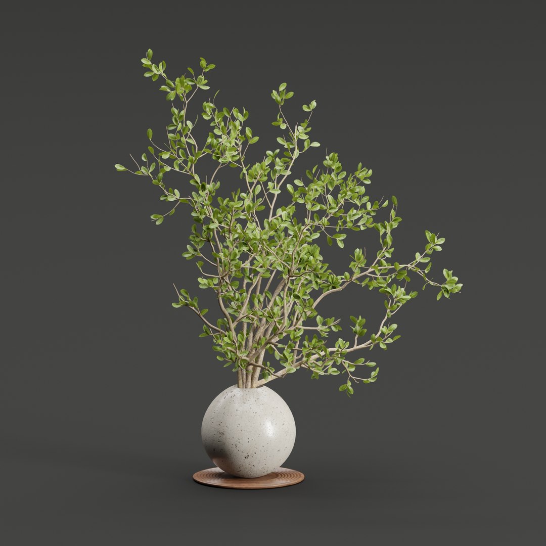 3D Decorative Branches Vol 163-Blender - TurboSquid 2154551