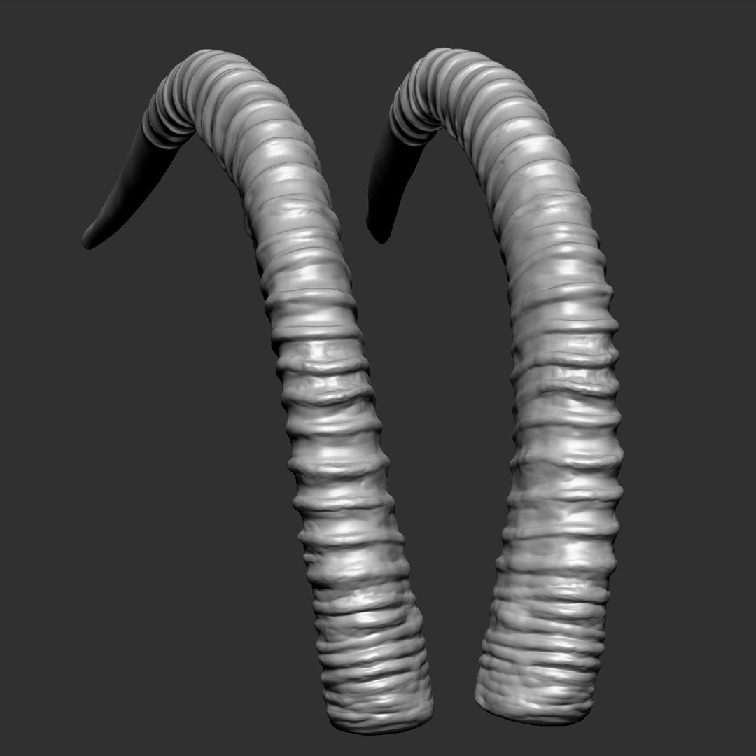 Sable Antelope Horns 3D Model - TurboSquid 1445140