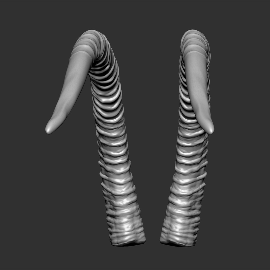 Sable Antelope Horns 3D Model - TurboSquid 1445140