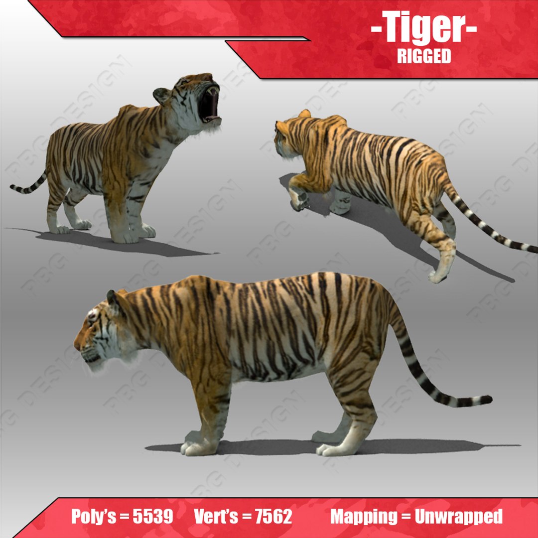 Tiger Cat Feline 3d Model