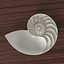 3d Model Nautilus Shell