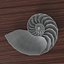 3d Model Nautilus Shell