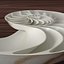 3d Model Nautilus Shell