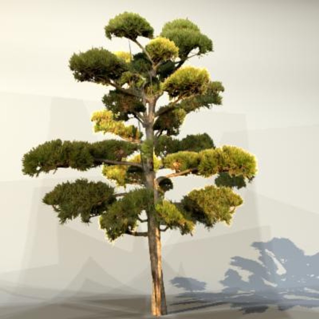 3d model pc tree
