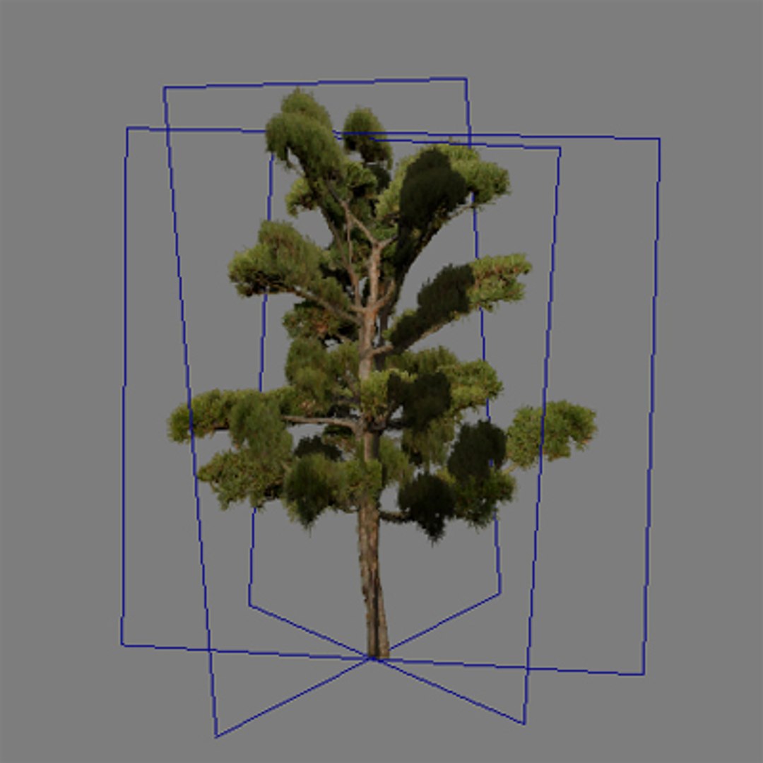 3d model pc tree