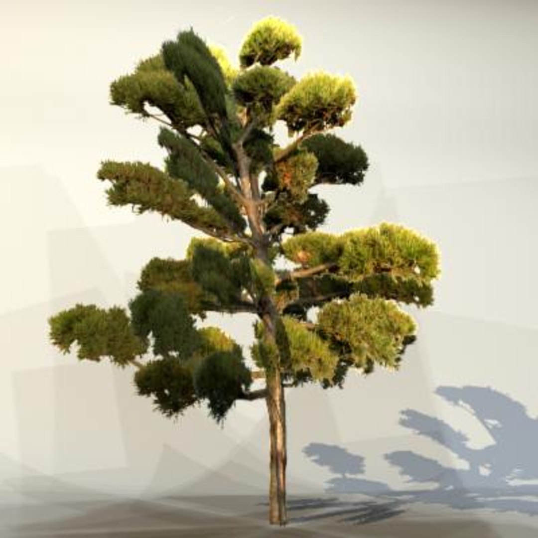 3d model pc tree