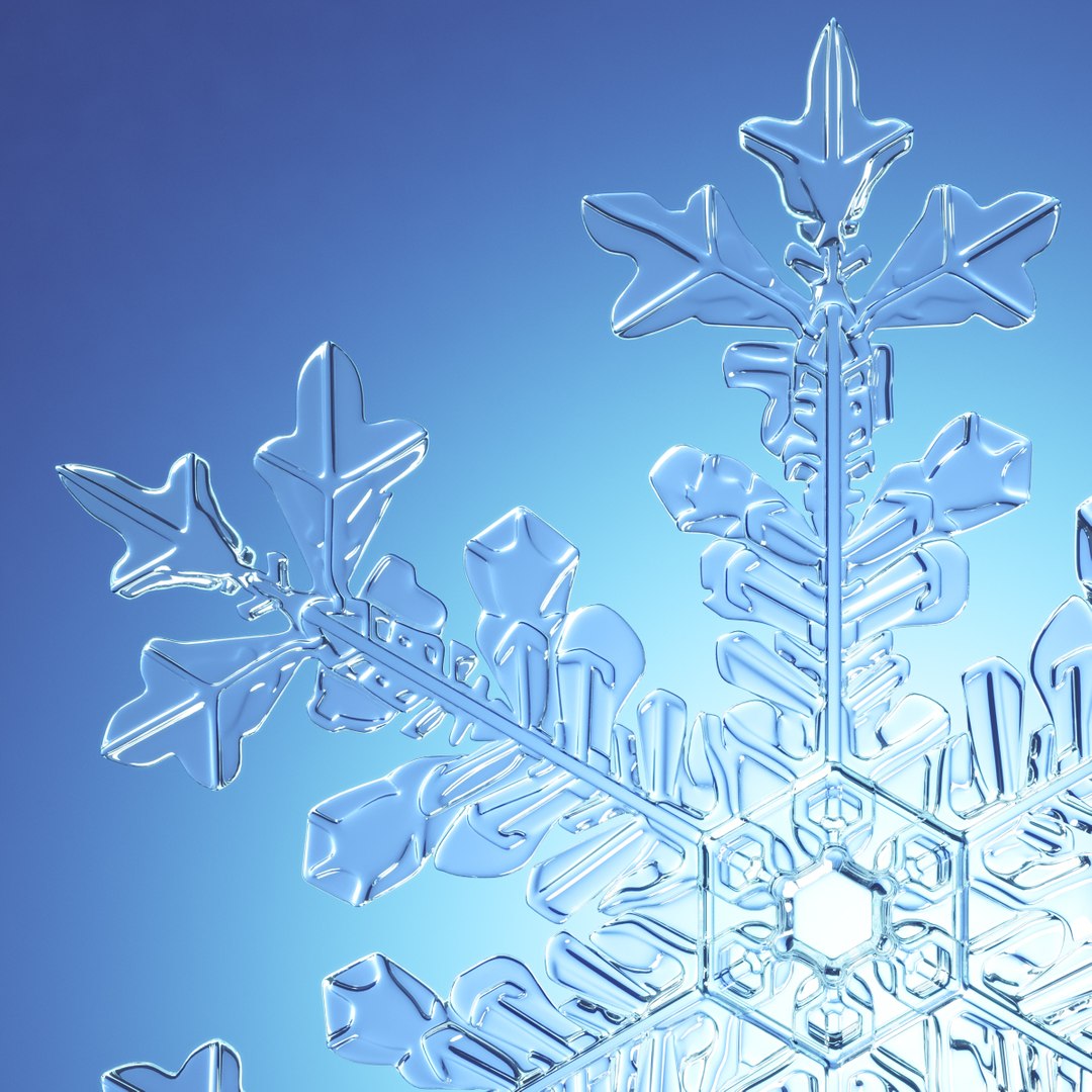Snowflakes New 3d Max