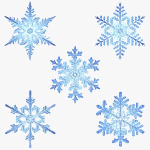 3d model of snowflake snow flake