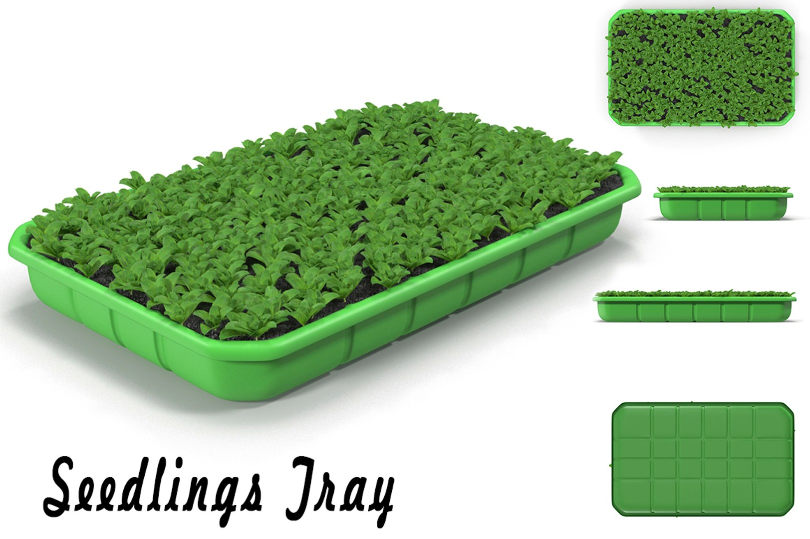 3d Seedling Tray