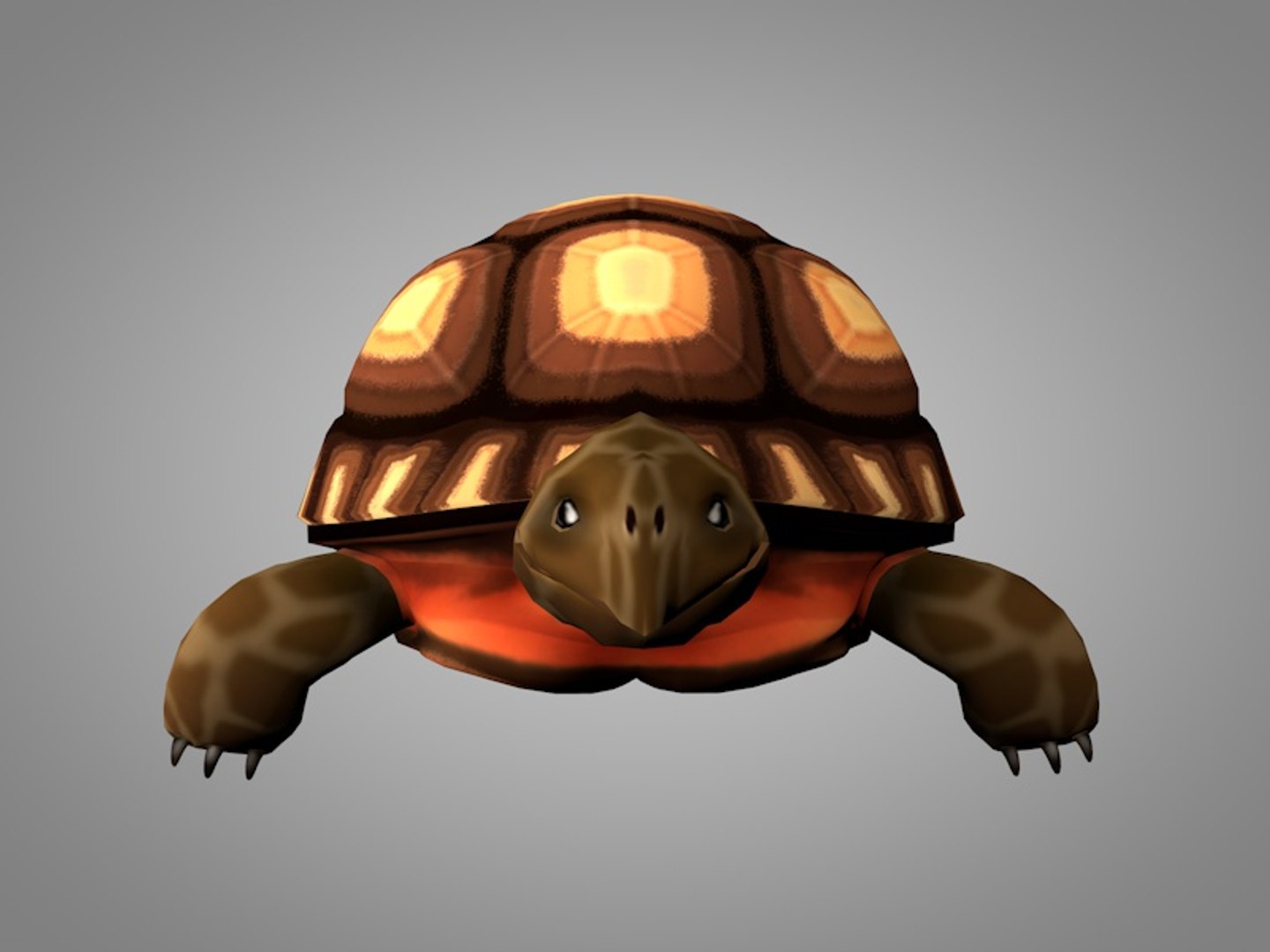 Turtle Model - TurboSquid 1346418