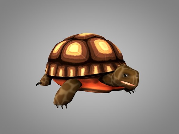 Turtle model - TurboSquid 1346418