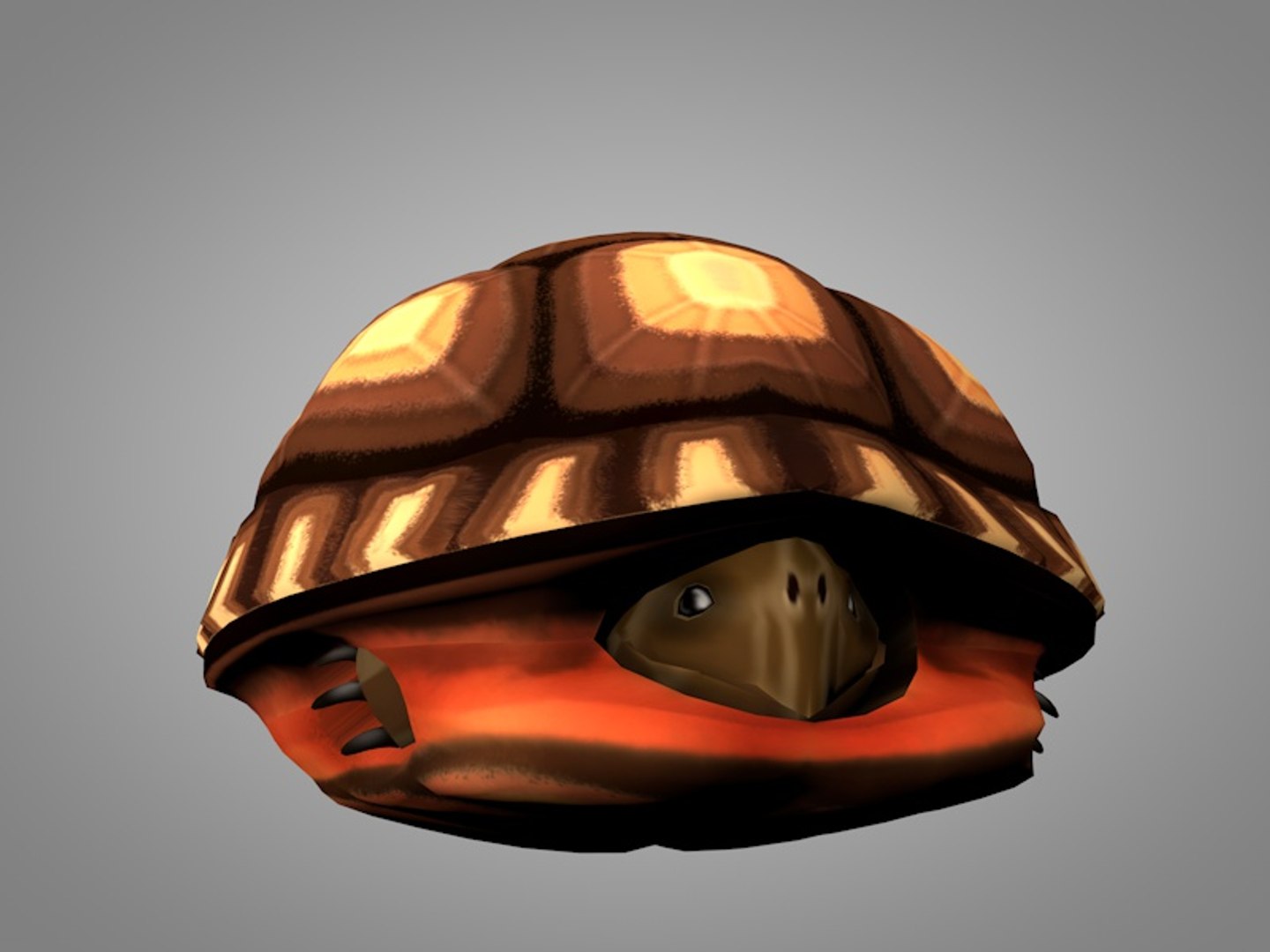 Turtle Model - TurboSquid 1346418