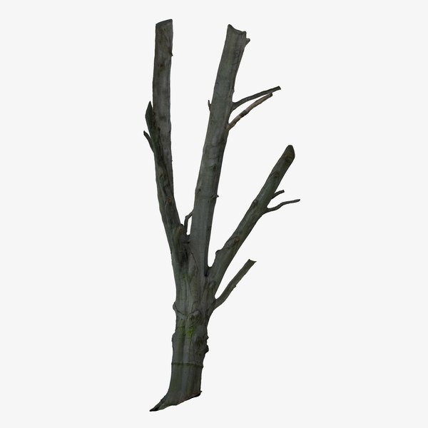 3d tree trunk scanned cleaned model
