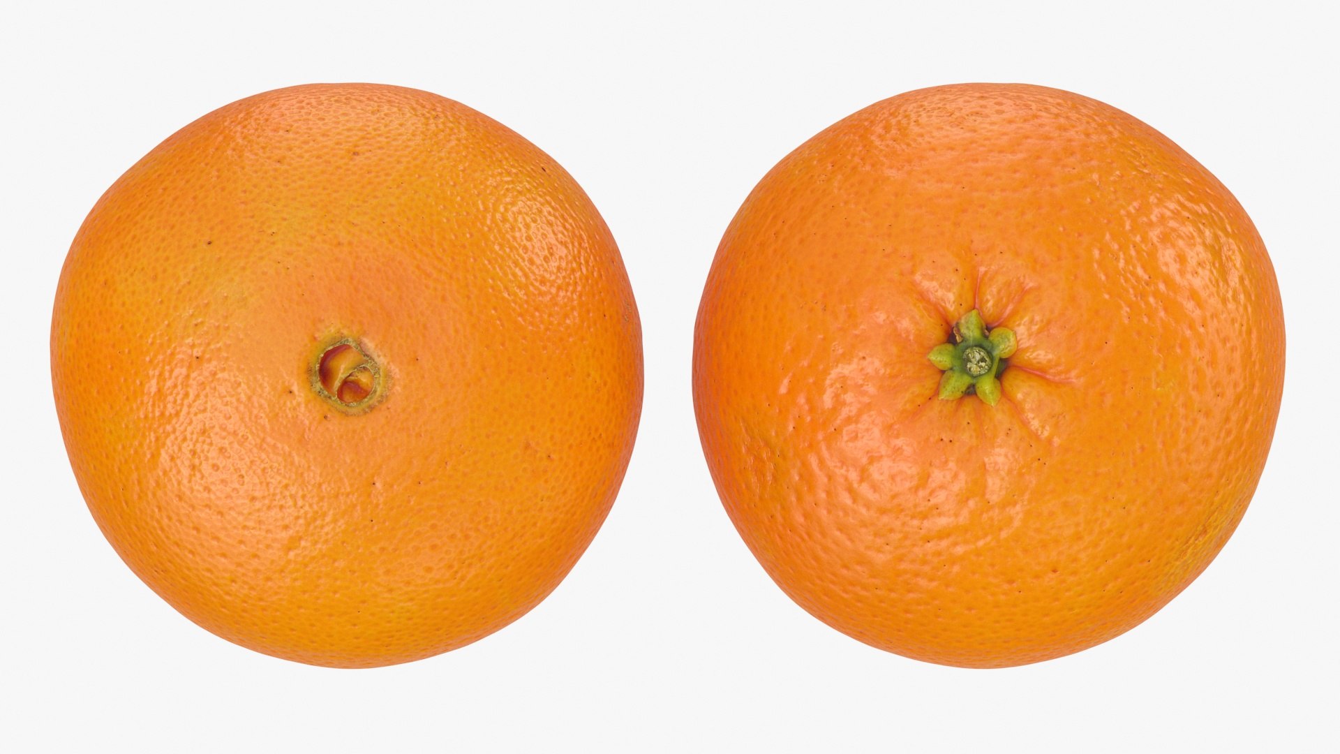 Orange Collection 3 3D Model - TurboSquid 2242841