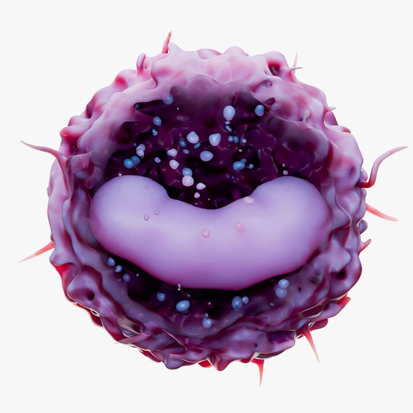 modelo 3d Glóbulo blanco monocito - TurboSquid 2344854