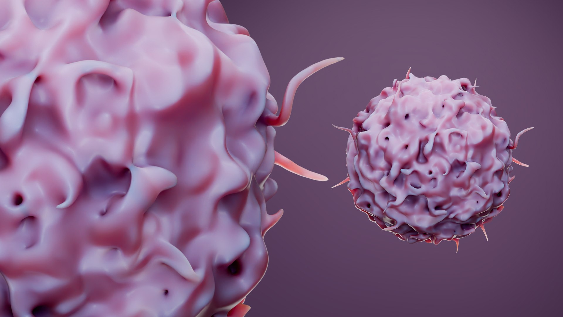 3D Monocyte White Cell - TurboSquid 2344854