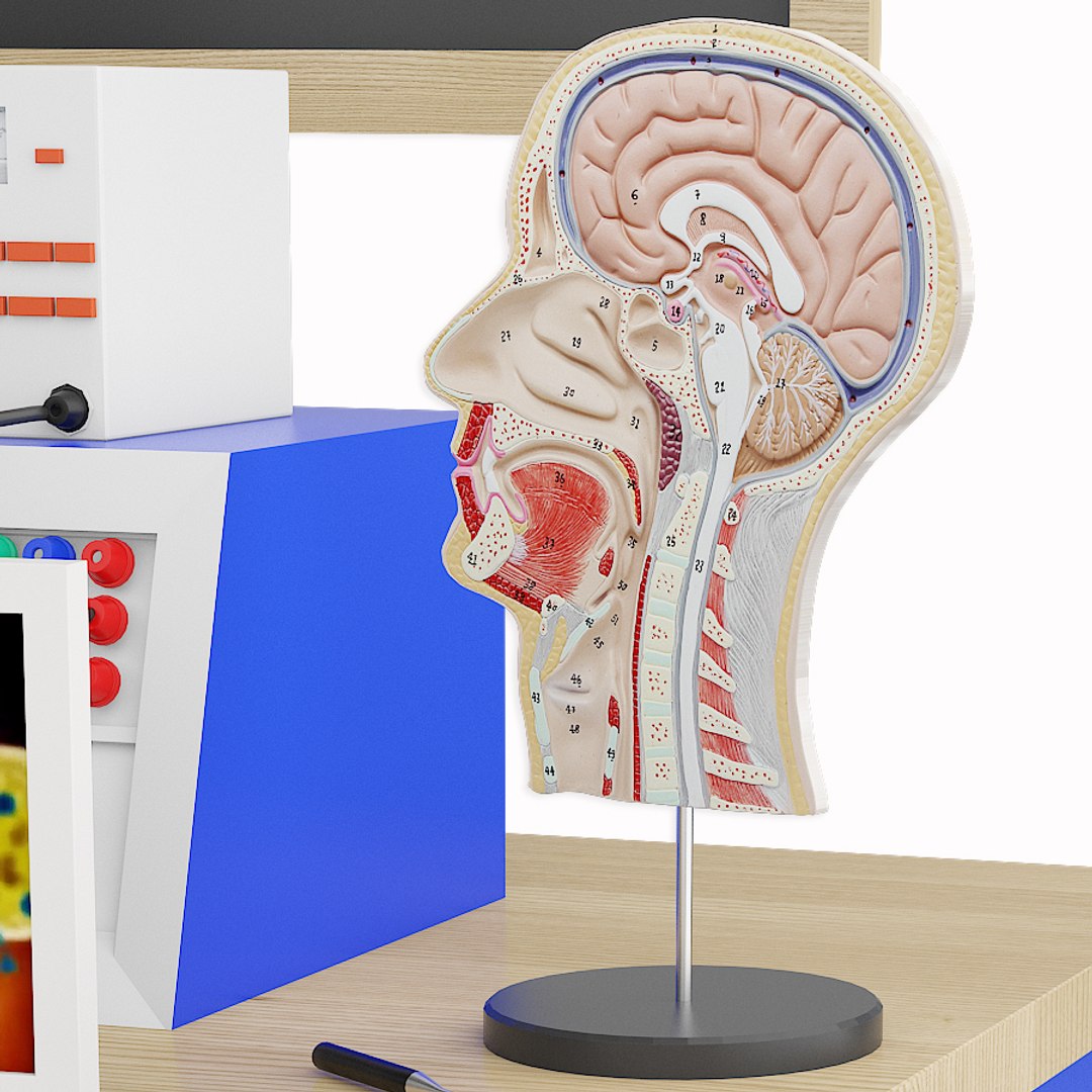 Medical Laboratory Set 3 3D Model - TurboSquid 1538484