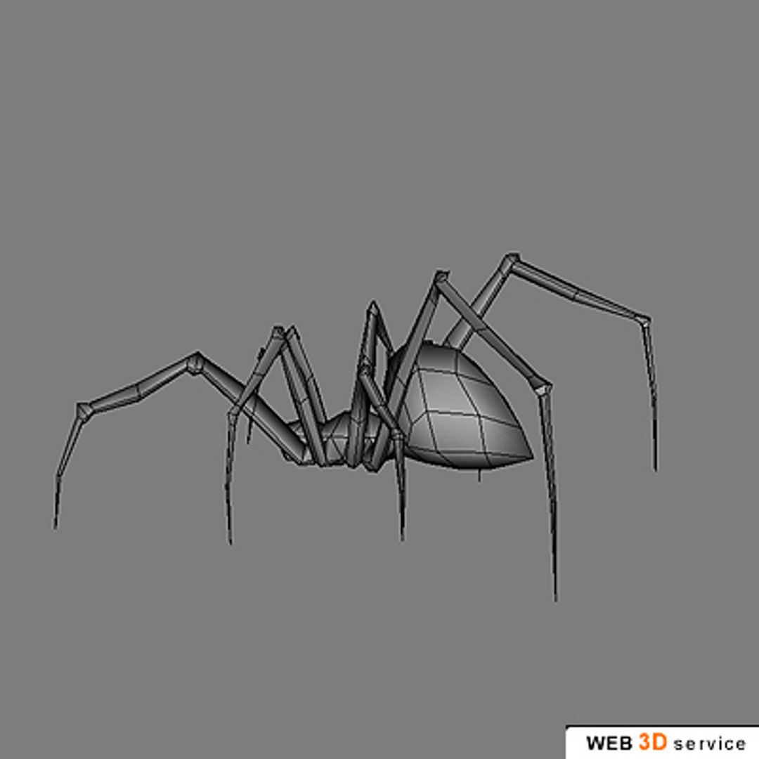 3d model spider arachnid
