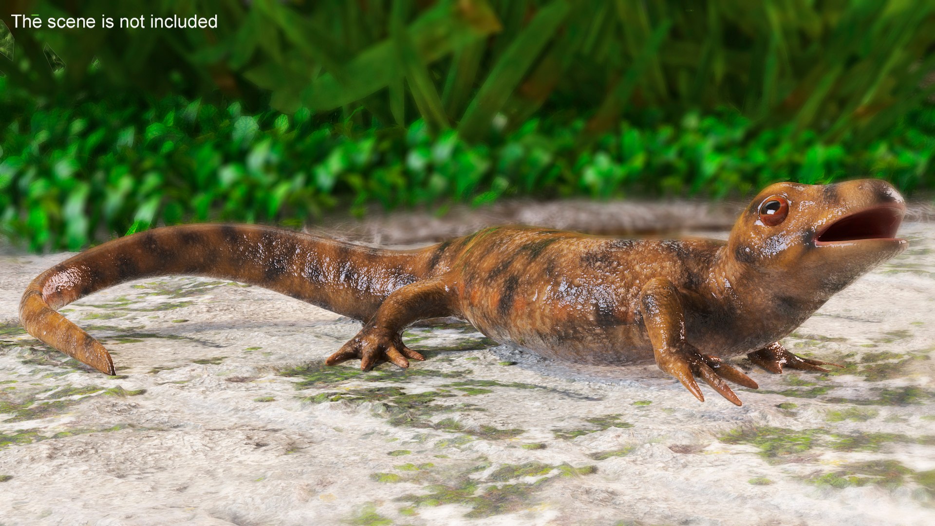 3D Iberian Ribbed Newt Rigged For Cinema 4D Model - TurboSquid 2157537