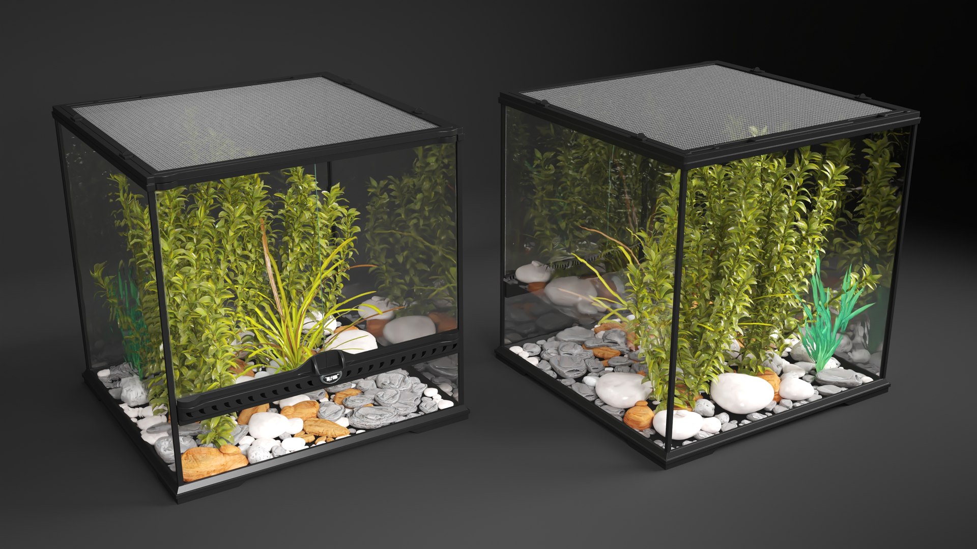 Small Cubic Terrarium With Plants Model - TurboSquid 2146533