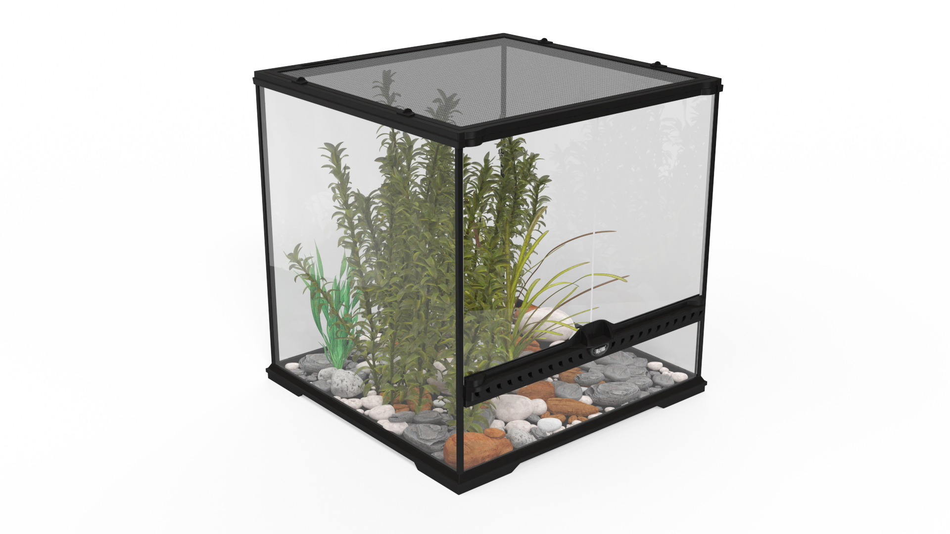 Small Cubic Terrarium With Plants Model - TurboSquid 2146533