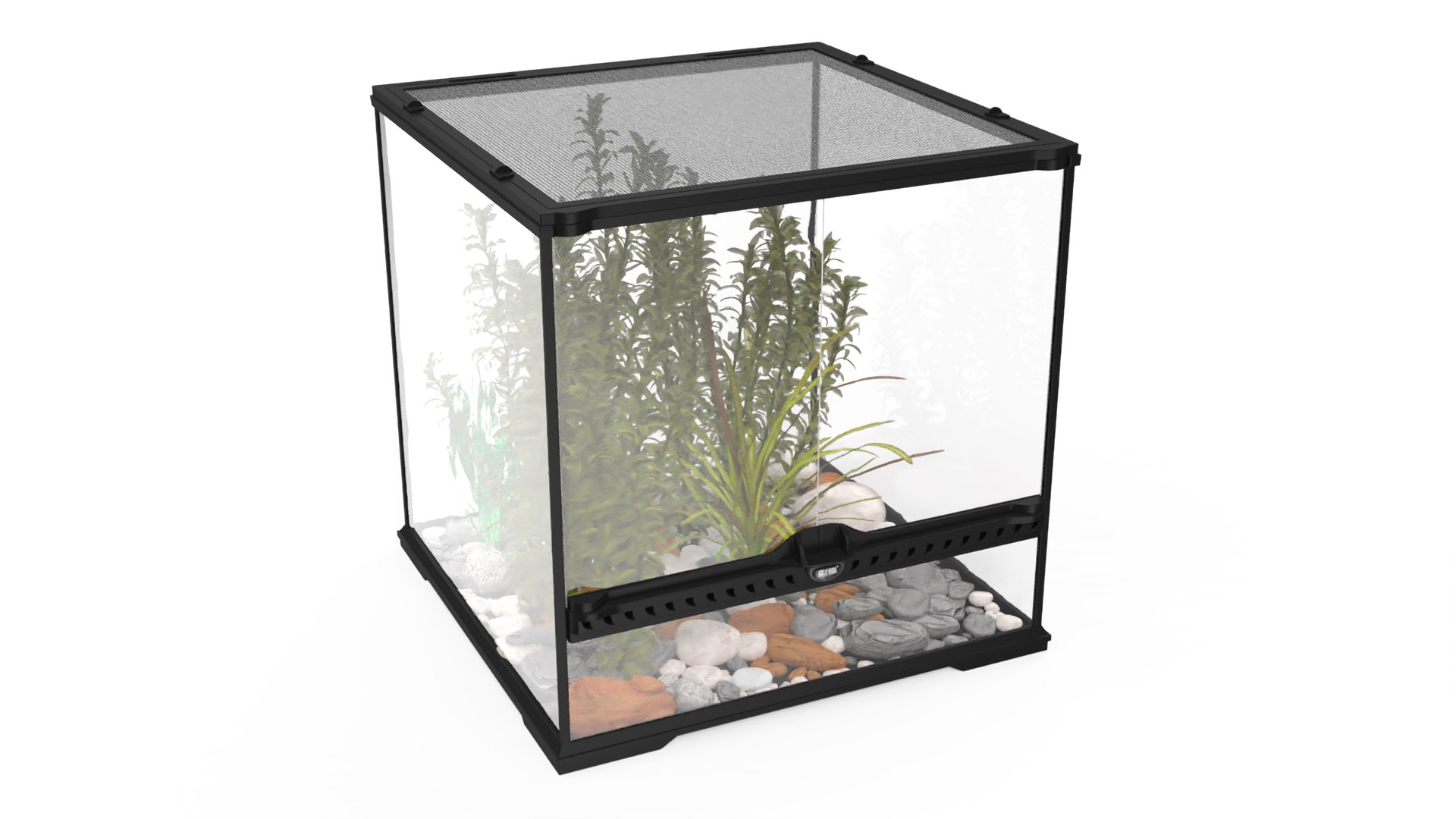 Small Cubic Terrarium With Plants Model - TurboSquid 2146533