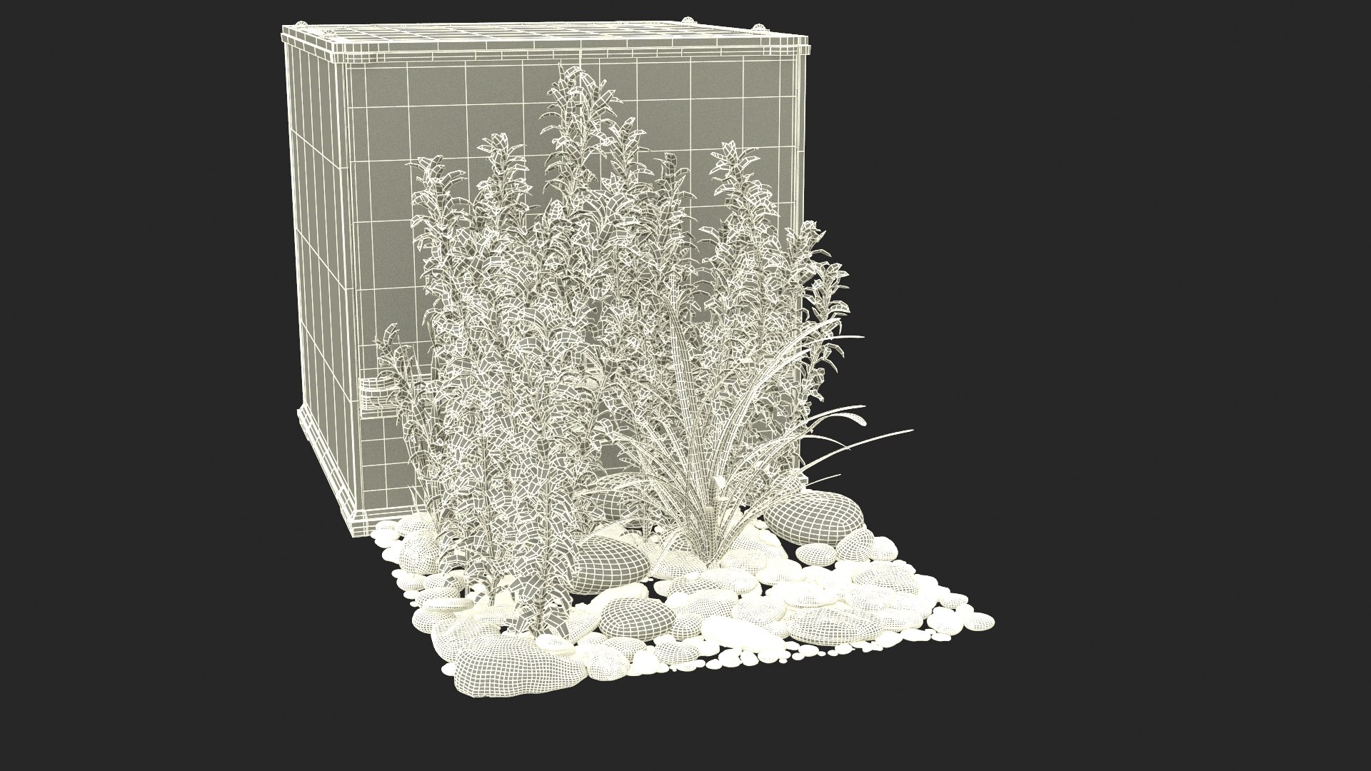 Small Cubic Terrarium With Plants Model - TurboSquid 2146533