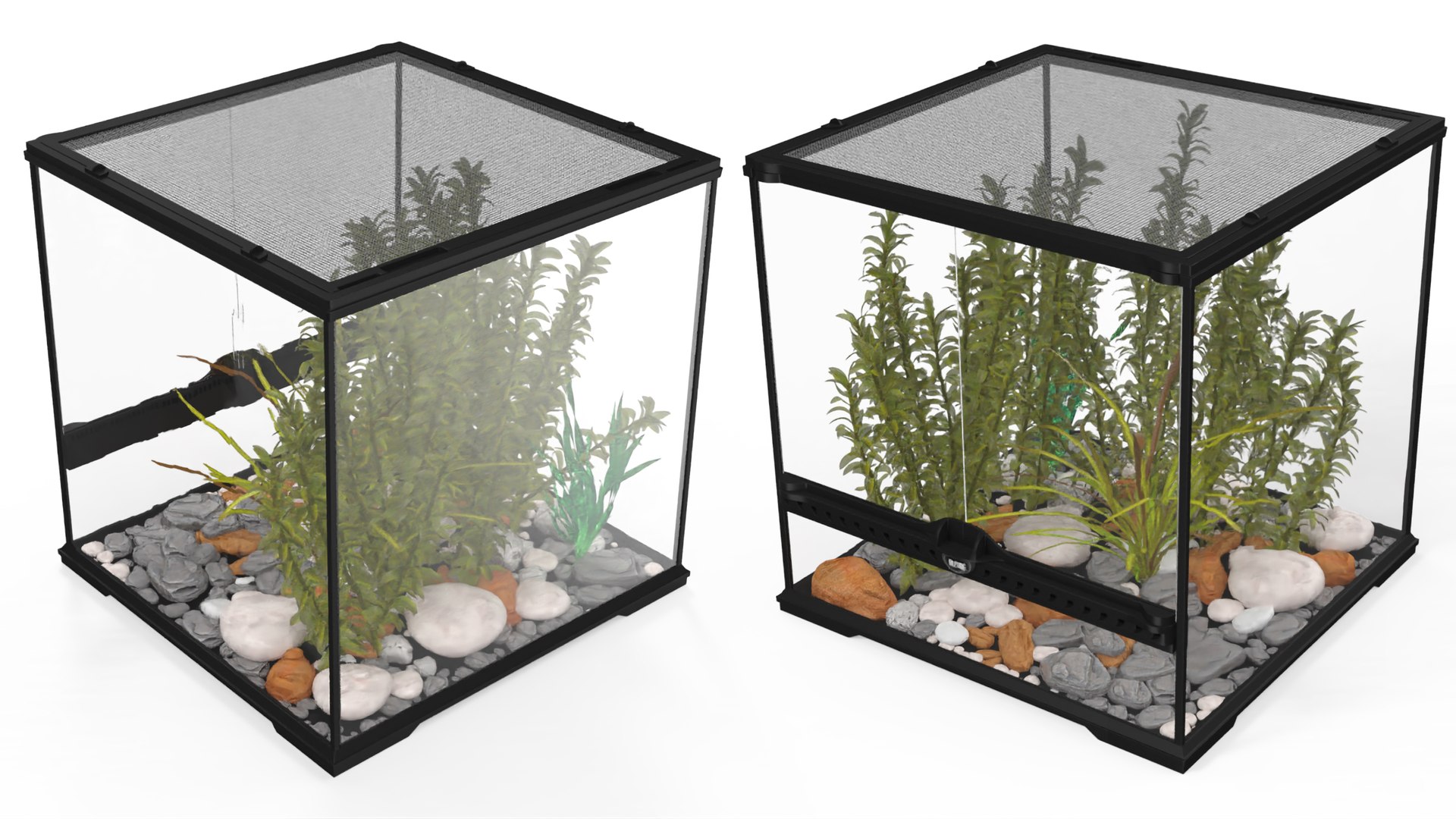 Small Cubic Terrarium With Plants Model - TurboSquid 2146533