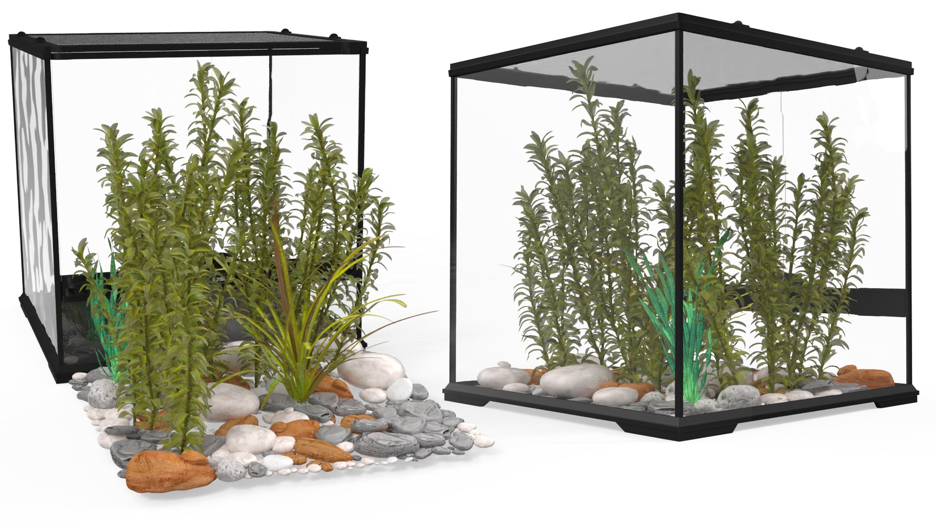 Small Cubic Terrarium With Plants Model - TurboSquid 2146533