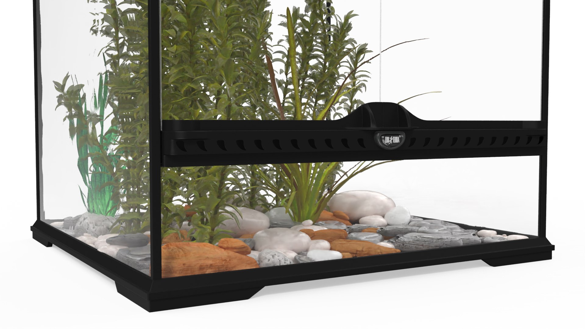 Small Cubic Terrarium With Plants Model - TurboSquid 2146533