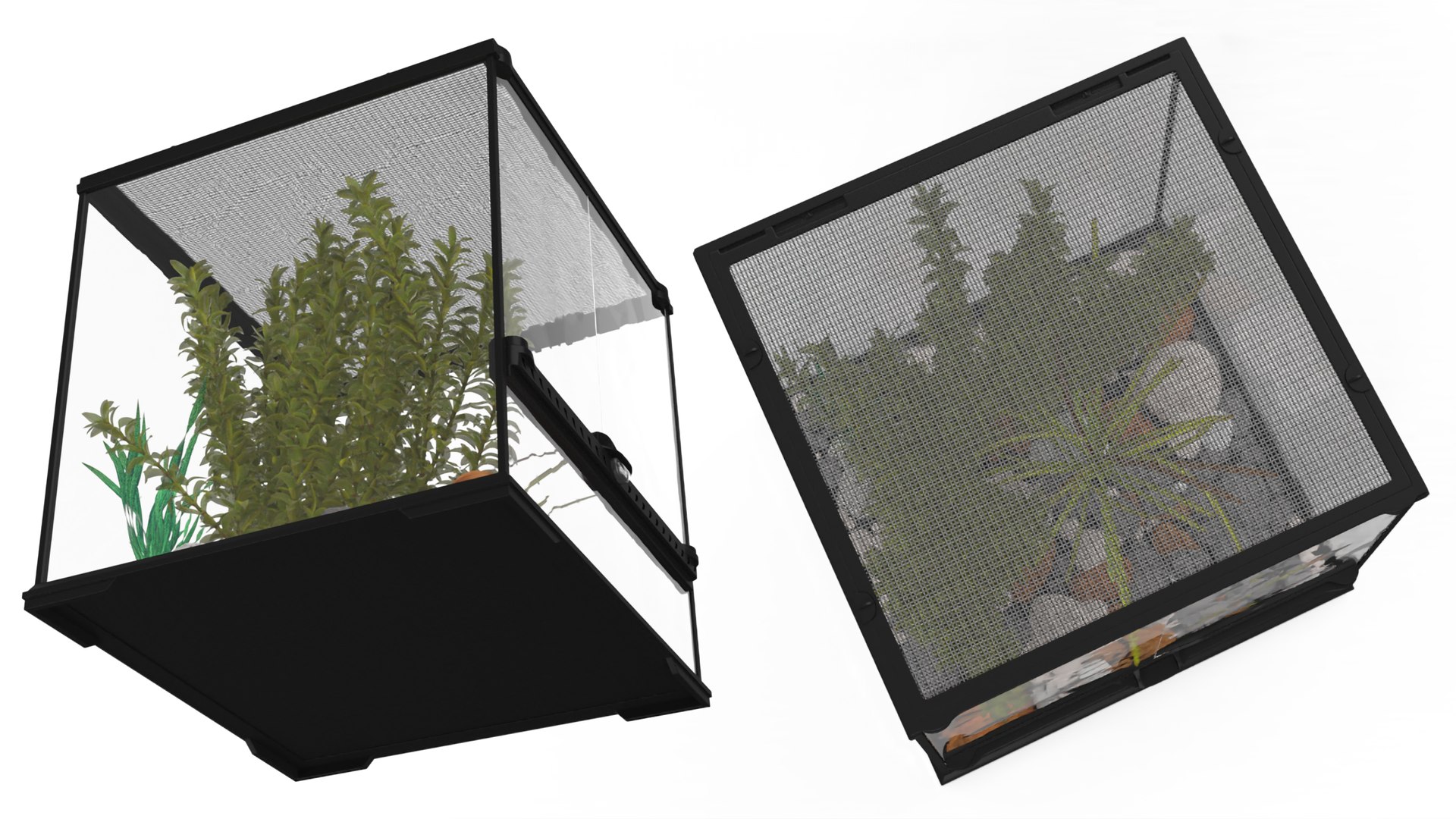 Small Cubic Terrarium With Plants Model - TurboSquid 2146533