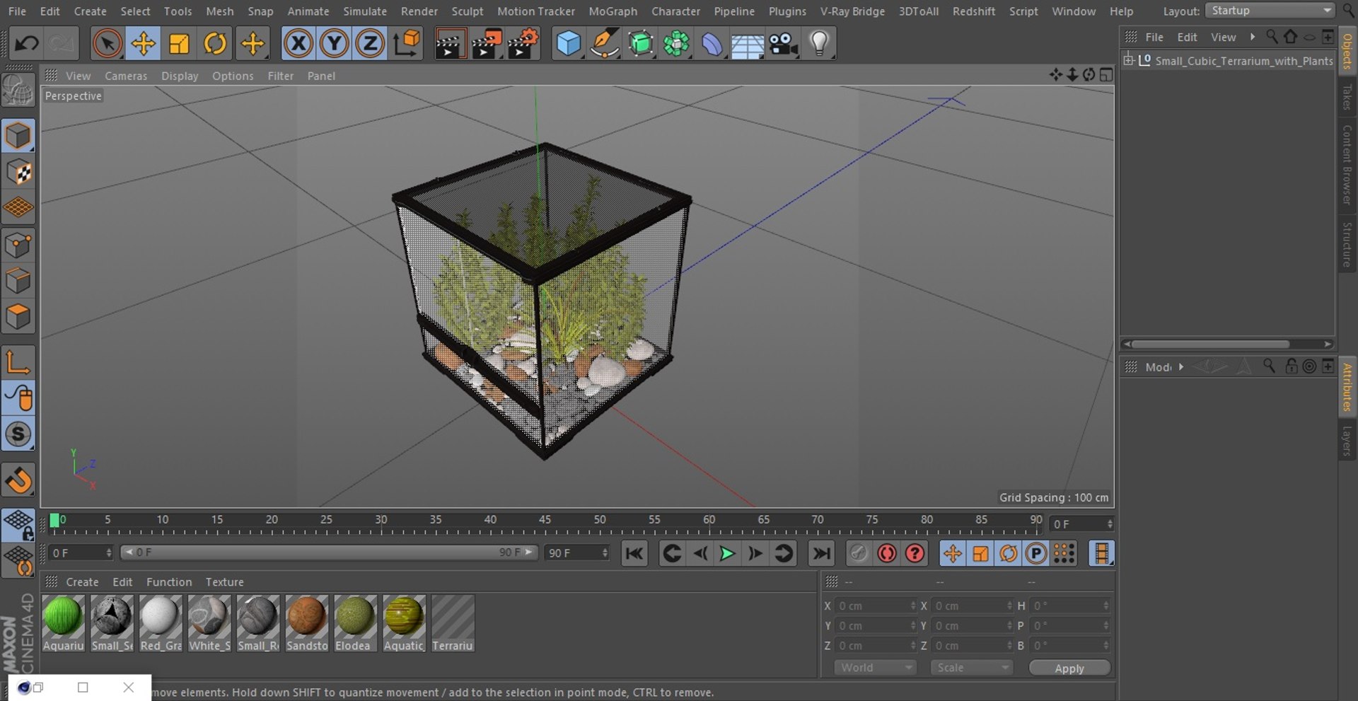 Small Cubic Terrarium With Plants Model - TurboSquid 2146533