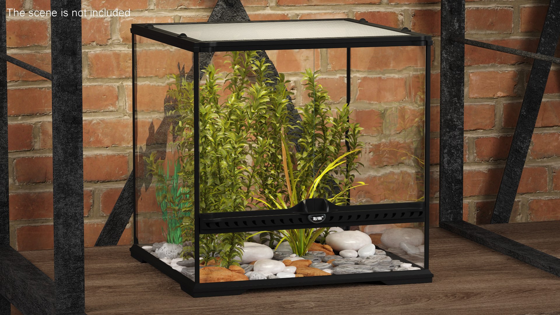 Small Cubic Terrarium With Plants Model - TurboSquid 2146533