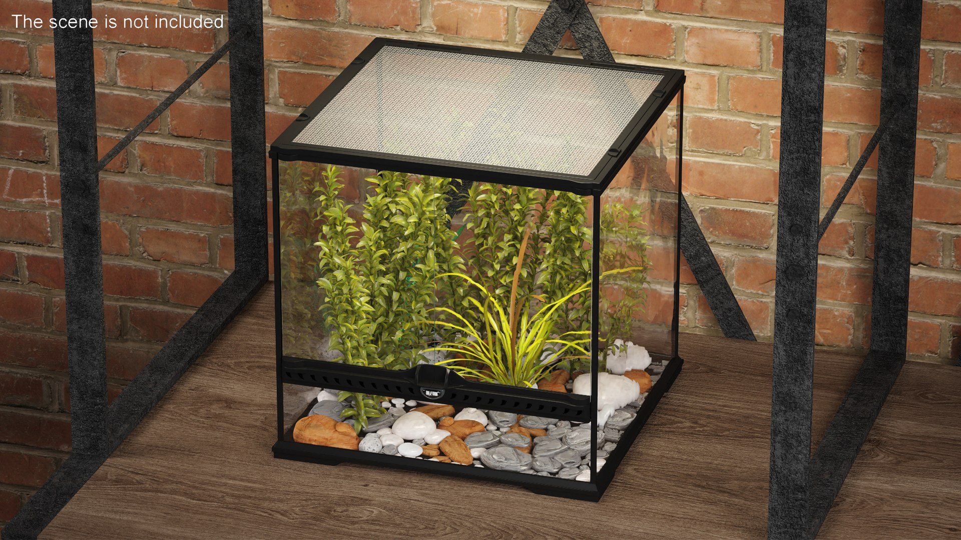 Small Cubic Terrarium With Plants Model - TurboSquid 2146533