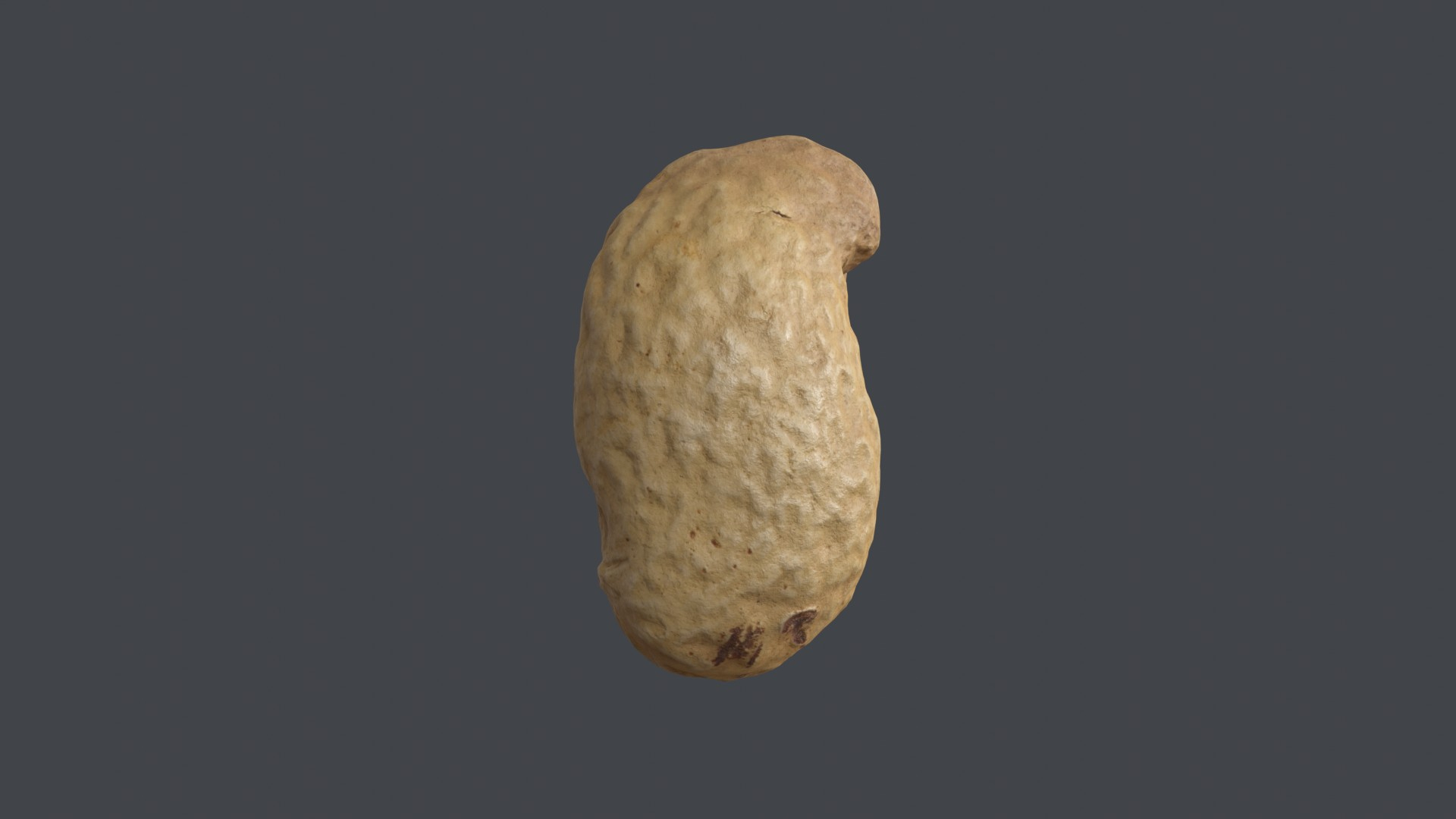 3D Peanut Unshelled Single Pod 2 - TurboSquid 2000490